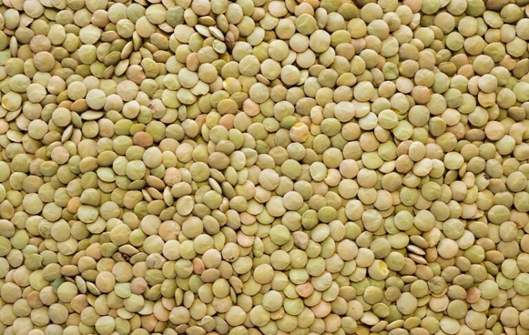 Lentil price per ton canada | wholesale lentils prices canada