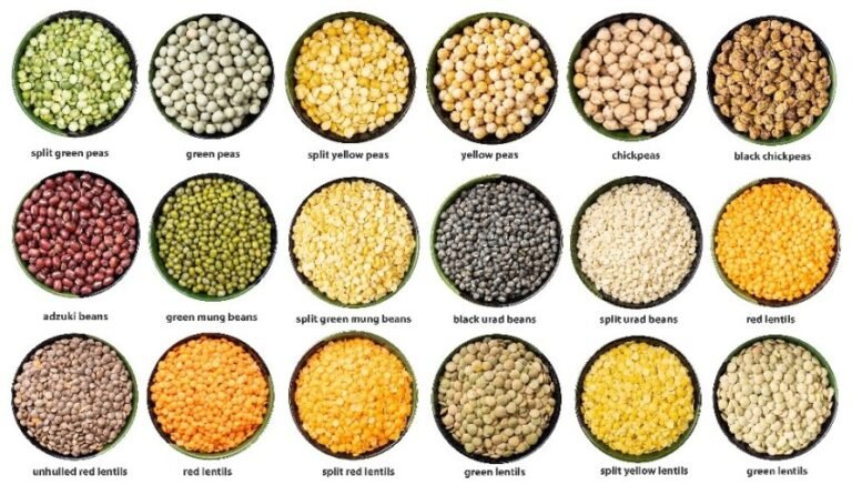 What Are Legumes? Types, Health Benefits, Nutrition Facts, and Cooking Tips