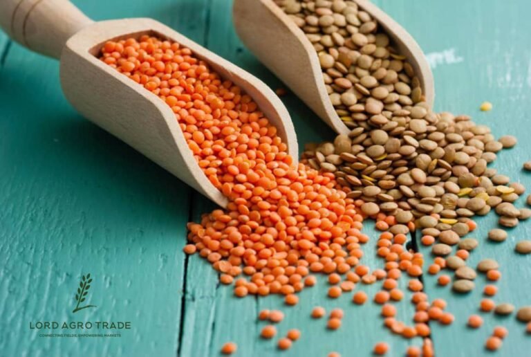 What Are Legumes? Types, Health Benefits, Nutrition Facts, and Cooking Tips