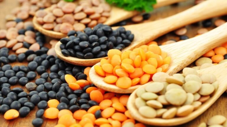 Canadian lentils market report – Surprising trends in September 2025 ...