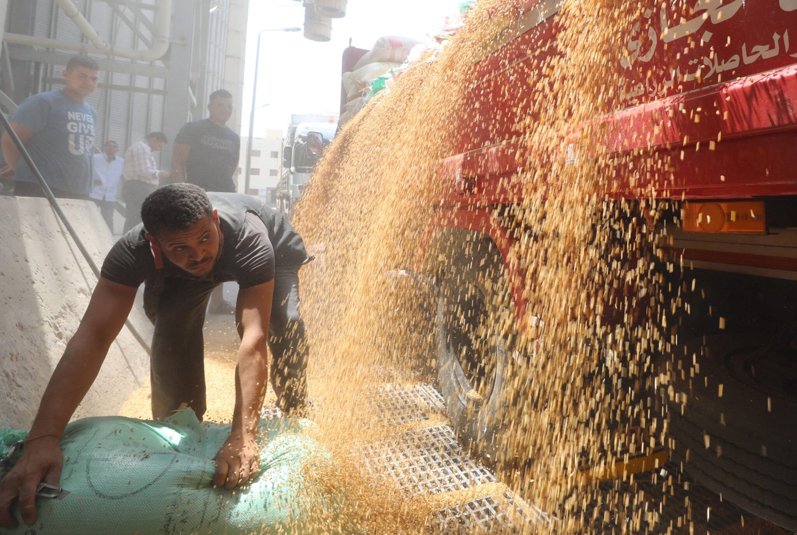 The Growing Popularity of Bulk Lentils in Canada | Lord Agro Trade